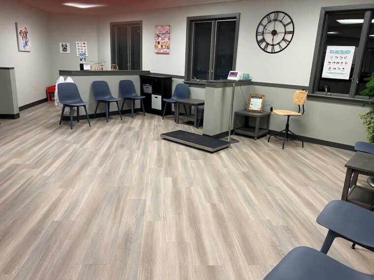 What You Need to Know About Veterinary Clinic Construction | DESCCO ...