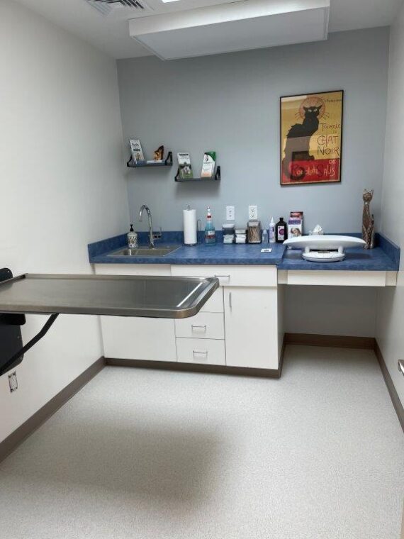 What You Need to Know - Veterinary Clinic Construction | DESCCO